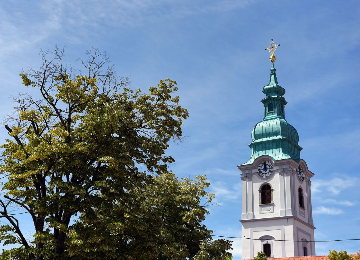 Građani još jednom izrazili protivljenje uklanjanju lipa sa Starog ...