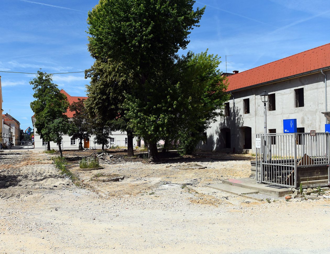 Građani još jednom izrazili protivljenje uklanjanju lipa sa Starog ...
